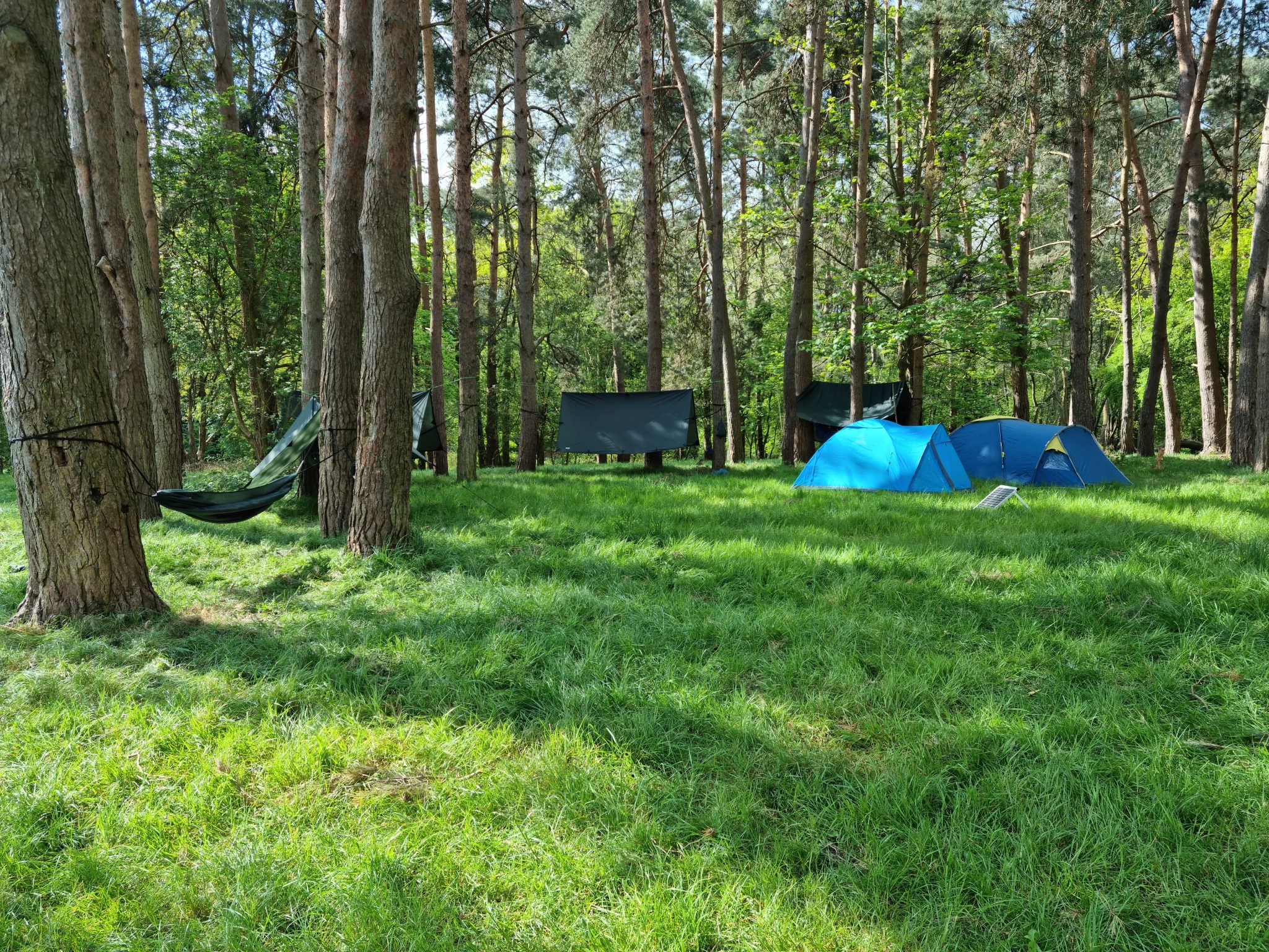 Join – 1st Hardwick and Highfields Scout Group